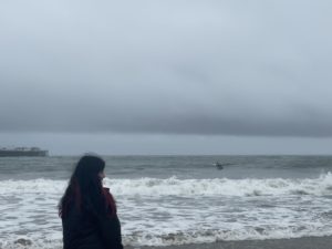 New Home | The Lazy Gal